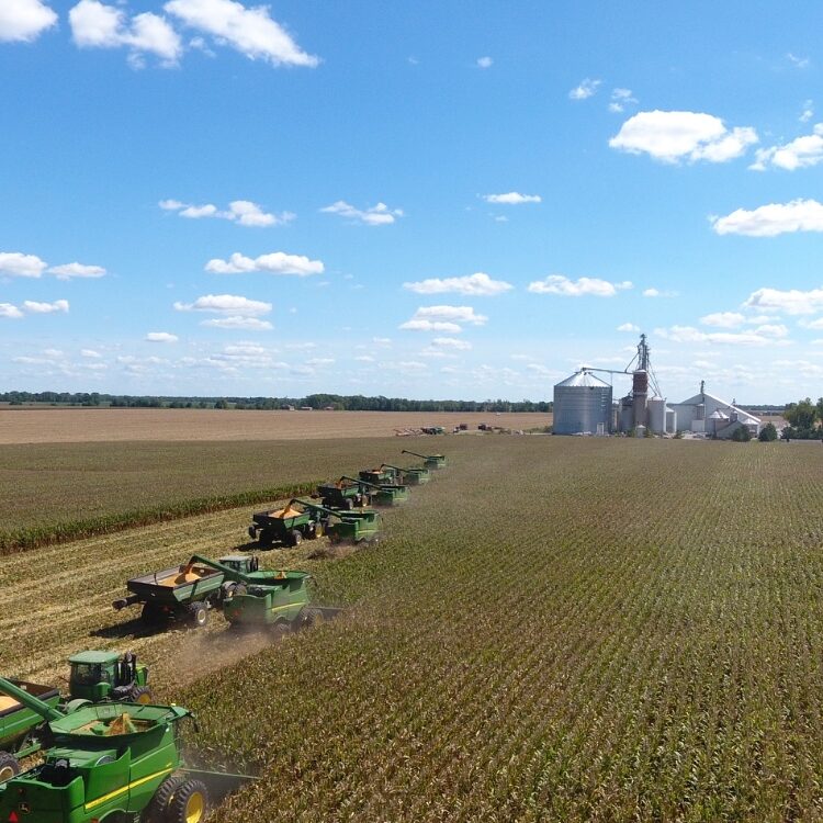 DDowson Farms – DDowson Farms