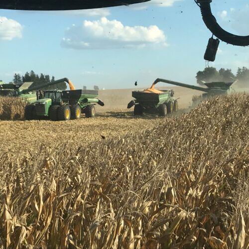 About – DDowson Farms